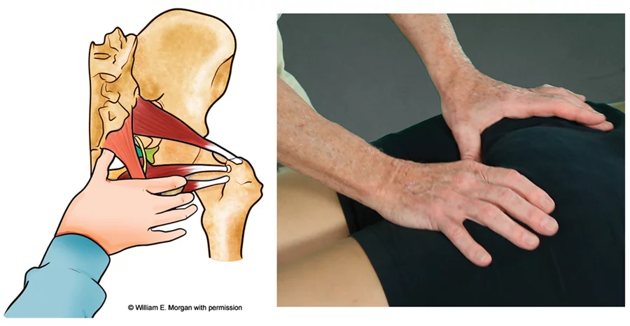 Don't Disregard the Coccyx - Erik Dalton Blog